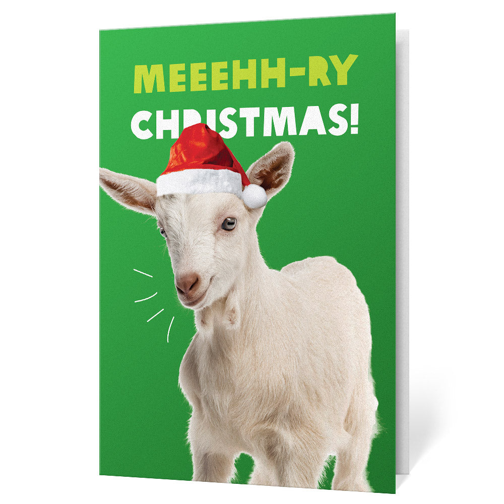 Christmas Goat Donation - Charity Greeting Cards - Oxfam Unwrapped